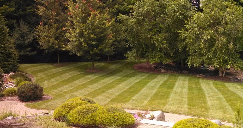 JTS Landscaping – The Ideas Are Endless……